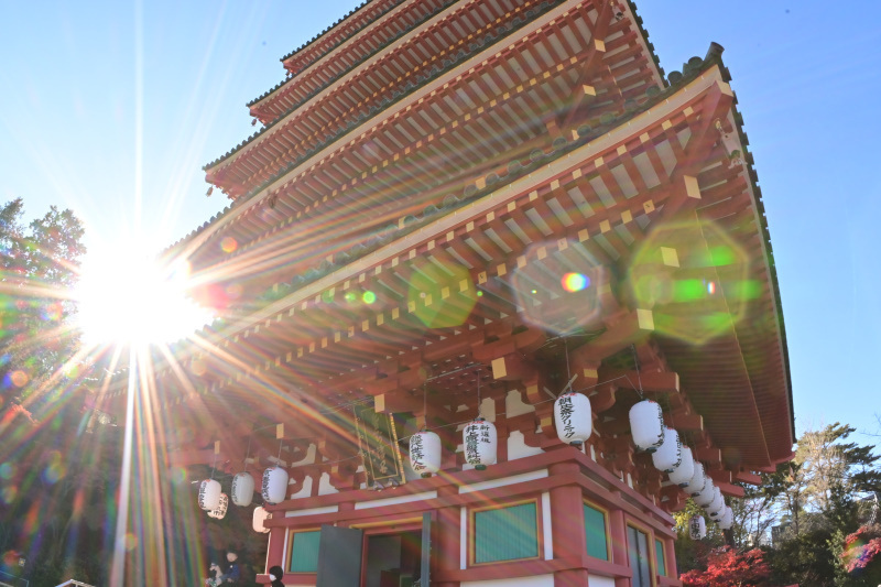 うっかり忘れた(^_^;): カメラ片手に 新館